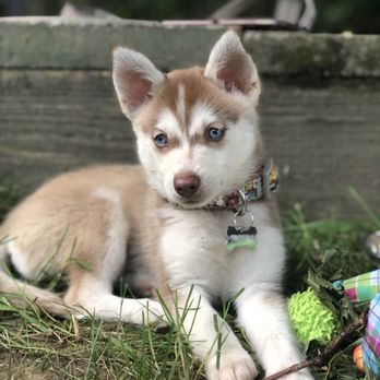 THE BOTANIST WORCESTER - Updated November 2025 - 18 Photos & 10 Reviews ...