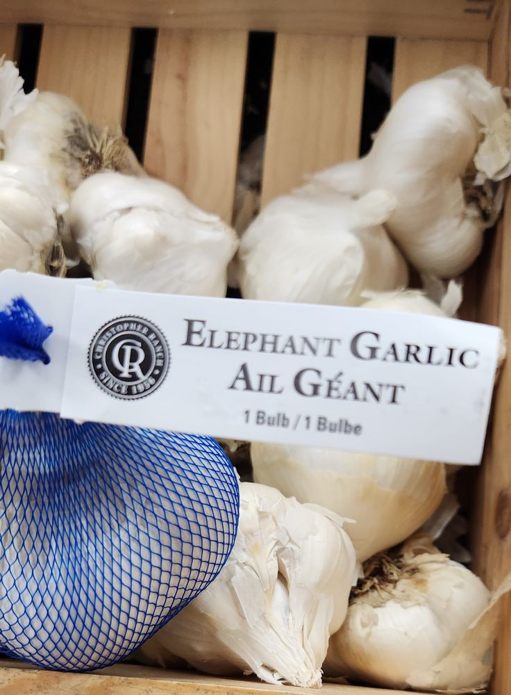 BASHAS’ - Updated December 2024 - 16 Photos & 27 Reviews - 8360 N ...