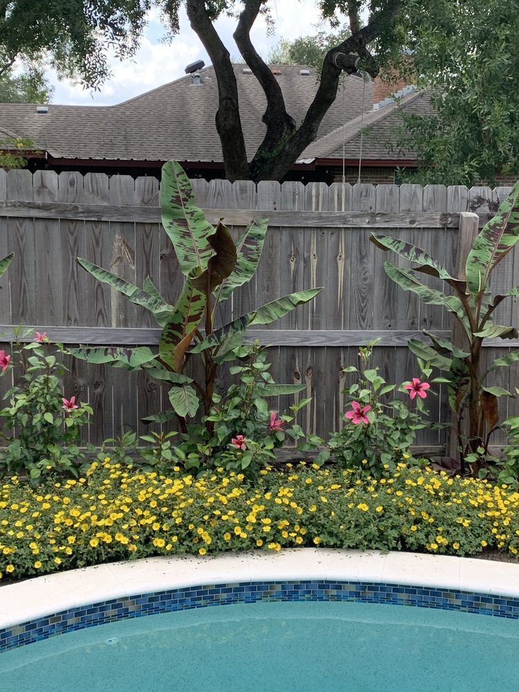 GULF COAST PEST CONTROL - Updated July 2025 - Request a Quote ...