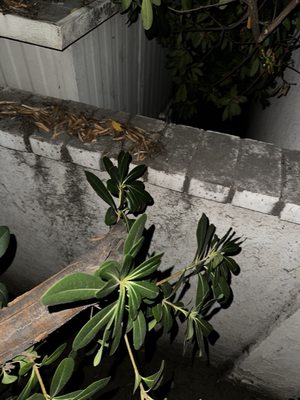 UPLAND POLICE DEPT - Updated January 2026 - 26 Photos & 44 Reviews ...