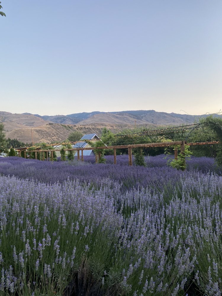 LAVENDER RIDGE - 90 Photos & 31 Reviews - 7450 W 4th St, Reno, NV - Yelp