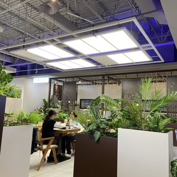 CHUCHAT - Updated April 2025 - 102 Photos & 37 Reviews - 6000 Medlock ...