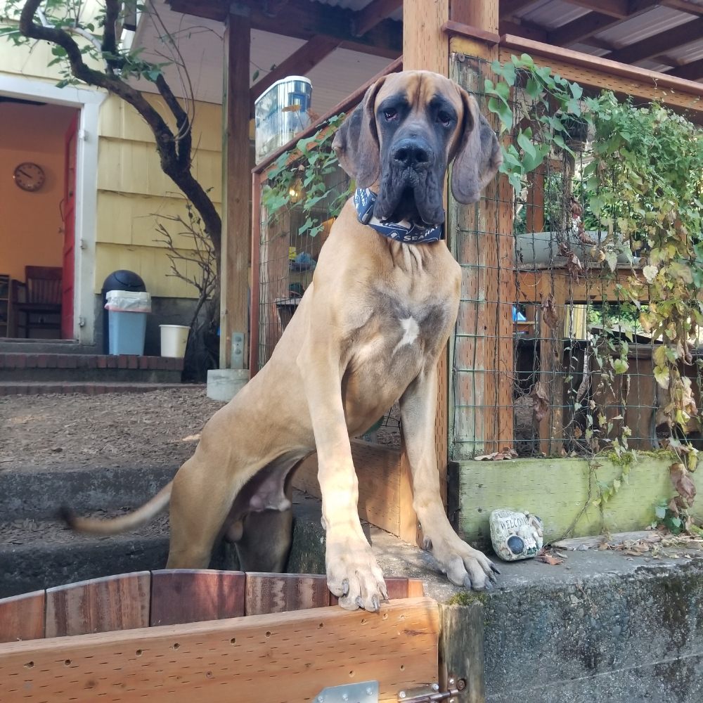 MARJI’S HOUSE - Updated October 2025 - 13 Photos - 5214 35th Ave SW ...