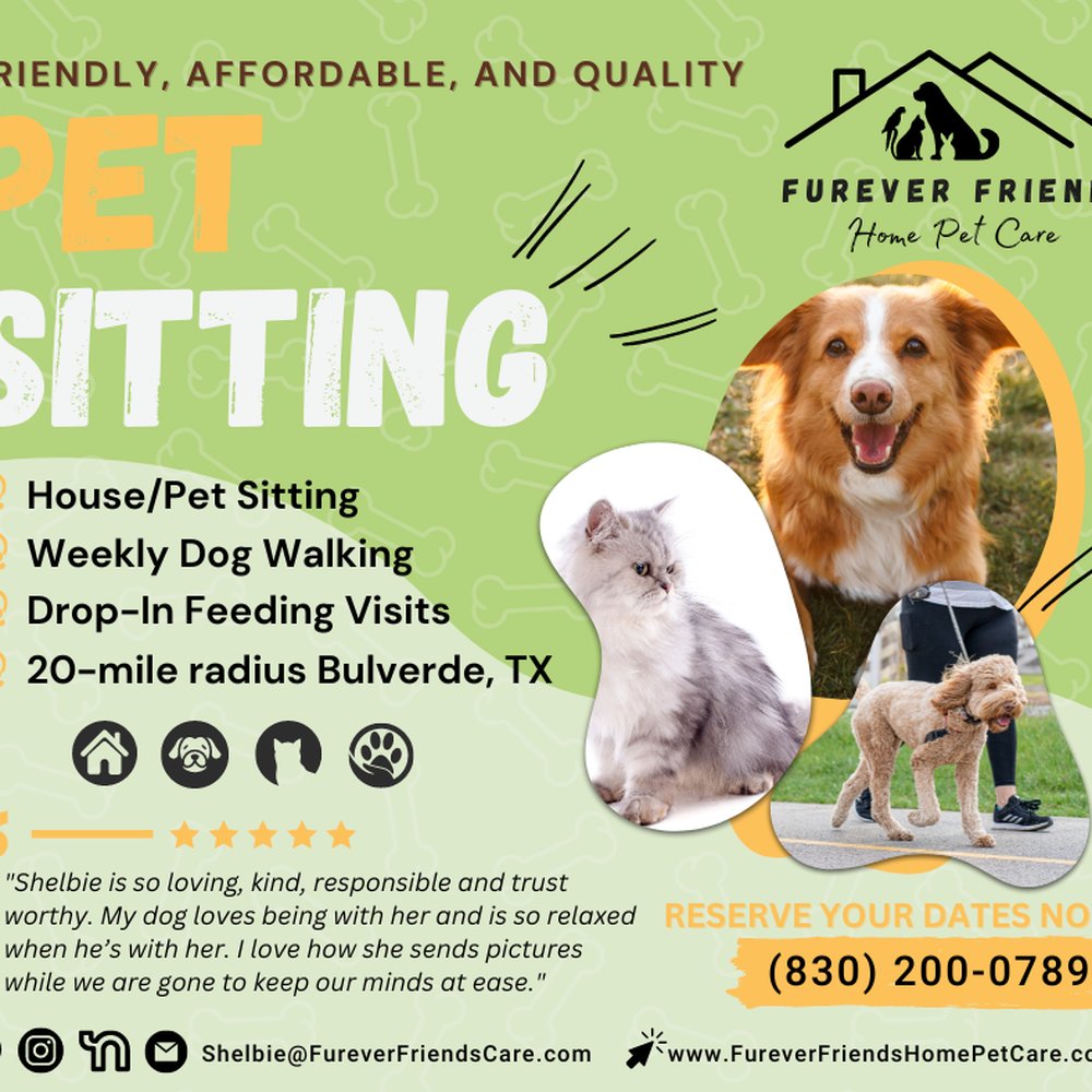 House Sitting Flyer