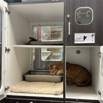 OLDE TOWNE PET RESORT - Updated May 2025 - 118 Photos & 212 Reviews ...