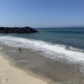 TAMARACK STATE BEACH - Updated January 2025 - 384 Photos & 95 Reviews ...