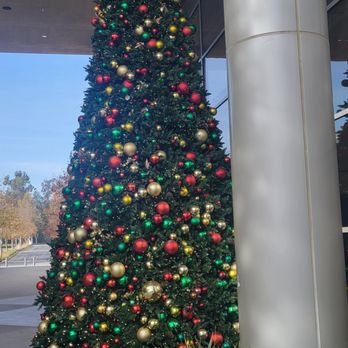 JAMES S. THALMAN LIBRARY - Updated December 2025 - 102 Photos & 110 ...