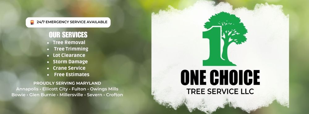ONE CHOICE TREE SERVICE - Updated September 2025 - Request a Quote ...