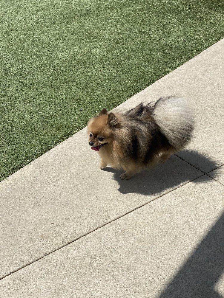 JACARANDA PARK - Updated December 2024 - 33 Photos & 16 Reviews - 2029 ...