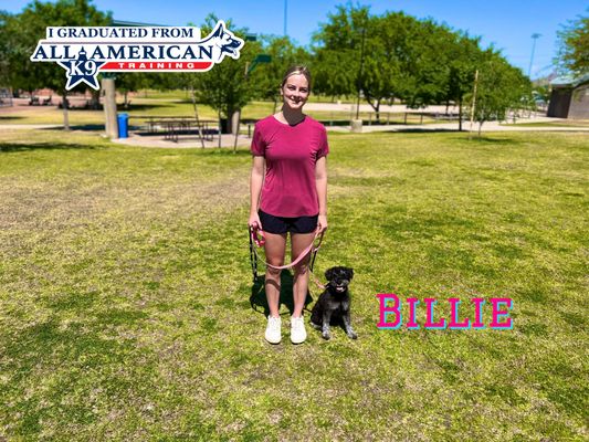 ALL-AMERICAN K-9 DOG TRAINING - 404 Photos & 266 Reviews - Phoenix ...