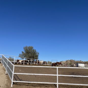 PONDEROSA STABLES - Updated November 2024 - 255 Photos & 206 Reviews ...