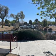 ALIANTE NATURE DISCOVERY PARK - 339 Photos & 119 Reviews - 2627 Nature ...