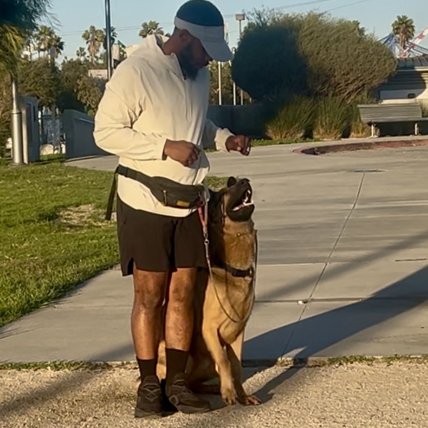 HUMBLE HOUNDS BEHAVIORAL ACADEMY - Updated March 2025 - San Pedro ...