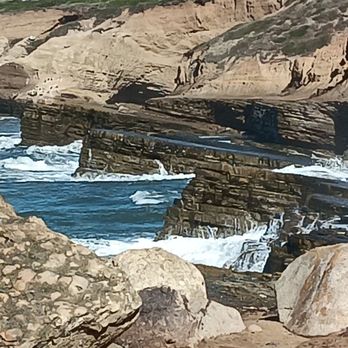 POINT LOMA TIDE POOLS - Updated December 2025 - 965 Photos & 138 ...