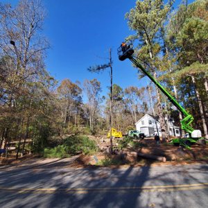 GRIZZLY TREE EXPERTS - Updated October 2025 - 15 Photos & 51 Reviews ...