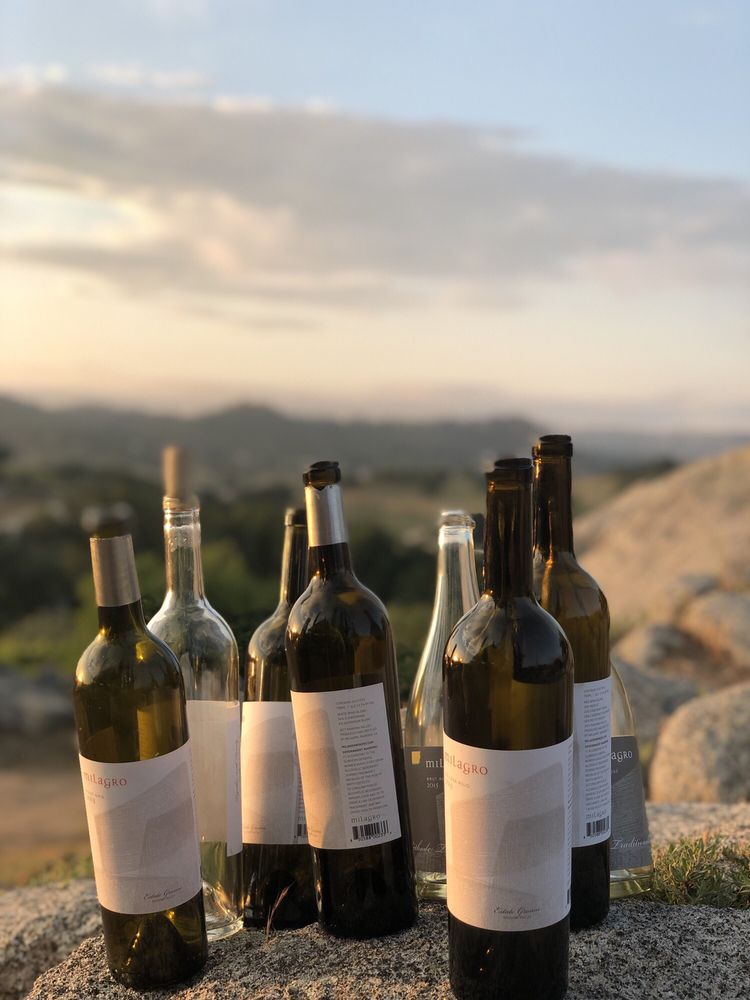 MILAGRO FARM WINERY - 273 Photos & 156 Reviews - 18750 Littlepage Rd ...