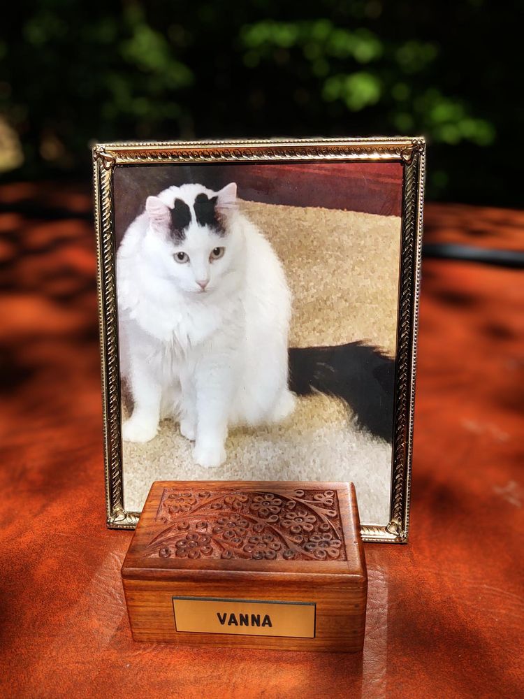 POLLY TAILS HOME EUTHANASIA - Updated October 2025 - 11 Photos - 731 ...