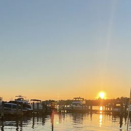 FISH WHISTLE - Updated October 2025 - 103 Photos & 59 Reviews - 100 ...