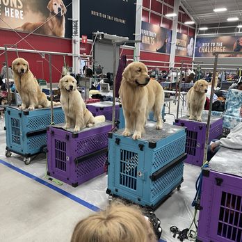 PURINA FARMS - TEMP. CLOSED - Updated August 2025 - 161 Photos & 54 ...