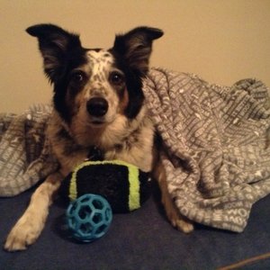 BEHANNA AUTO SERVICE - Auto Repair - 189 Main St, New Eagle, PA - Phone ...