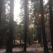 PIPI CAMPGROUND - 110 Photos & 38 Reviews - Campgrounds - Pioneer, CA ...