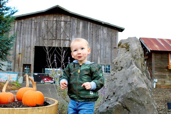 ROLOFF FARMS - Updated October 2025 - 291 Photos & 128 Reviews - 23985 ...