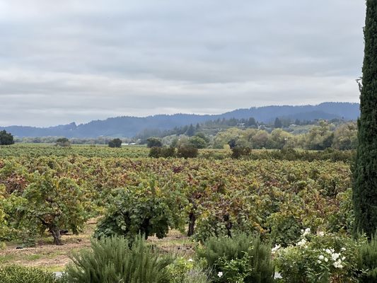 YOAKIM BRIDGE WINERY - 26 Photos & 42 Reviews - 7209 Dry Creek Rd ...