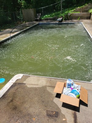 THE POOL BUTLER - Updated May 2025 - 25 Photos & 18 Reviews - 3900 ...