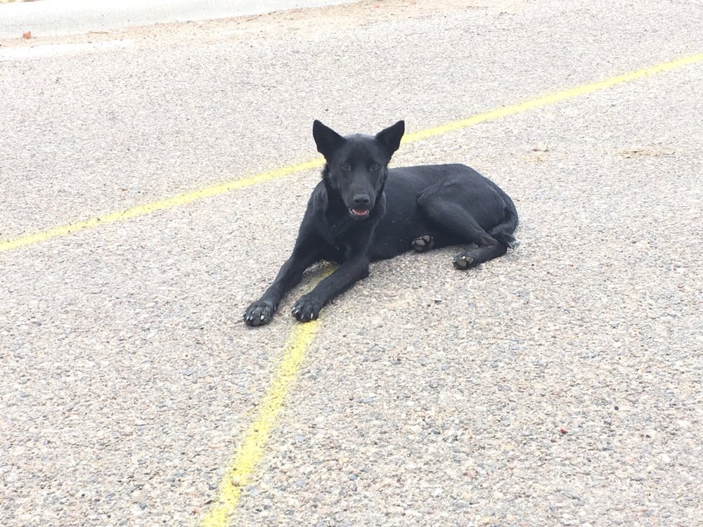 FORT BELKNAP HOSPITAL - Updated August 2025 - 669 Agency Main St ...