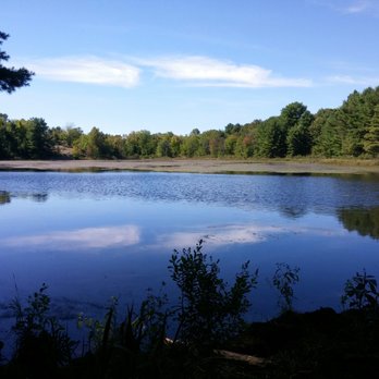 THE TREE MUSEUM - Updated July 2025 - 1634 Doe Lake Road, Gravenhurst ...