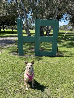 HUNTINGTON BEACH DISC GOLF COURSE - Updated October 2025 - 51 Photos ...