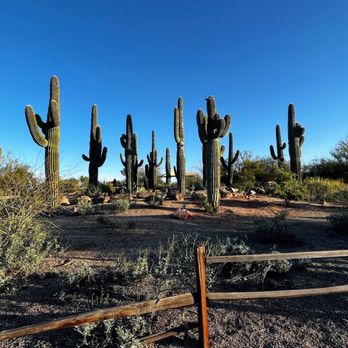 RIPARIAN PRESERVE AT WATER RANCH - Updated November 2024 - 714 Photos ...