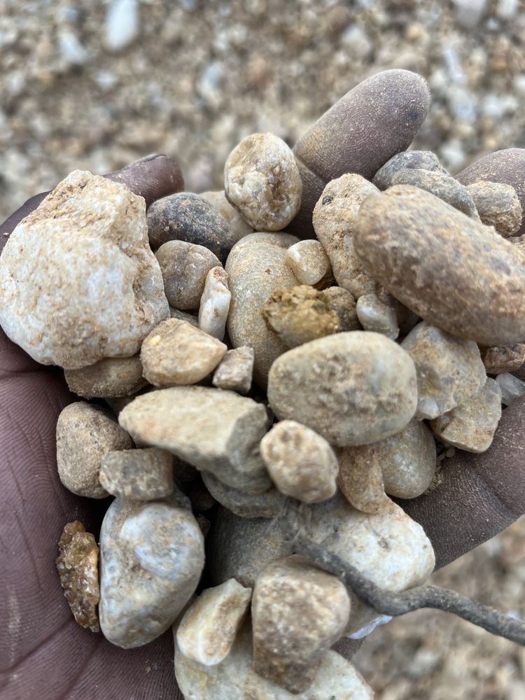 JD TRUCKING - Updated December 2025 - Request a Quote - Rich Square ...