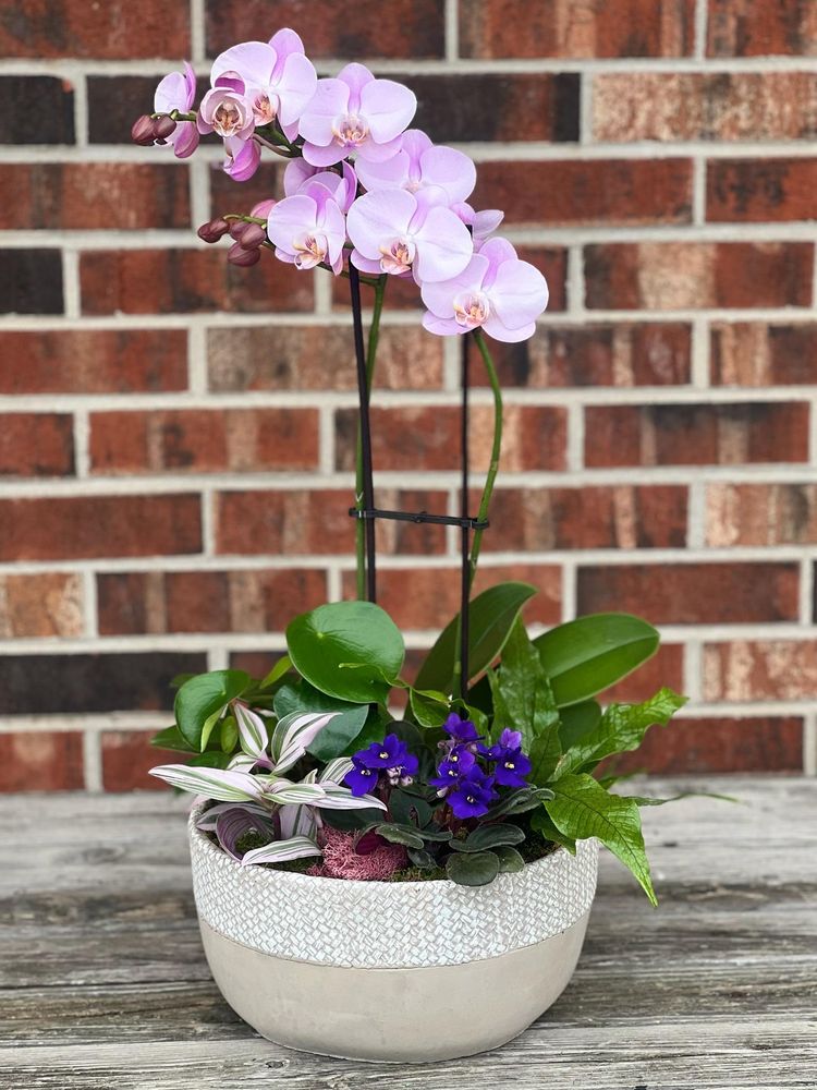 1-800 FLOWERS FLOWERAMA - Updated March 2026 - 94 Photos & 11 Reviews ...