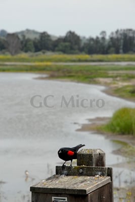 GC MICRO CORP - Updated December 2025 - 3910 Cypress Dr, Petaluma ...