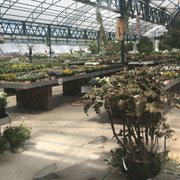 MESQUITE VALLEY GROWERS NURSERY - 392 Photos & 193 Reviews - 8005 E ...