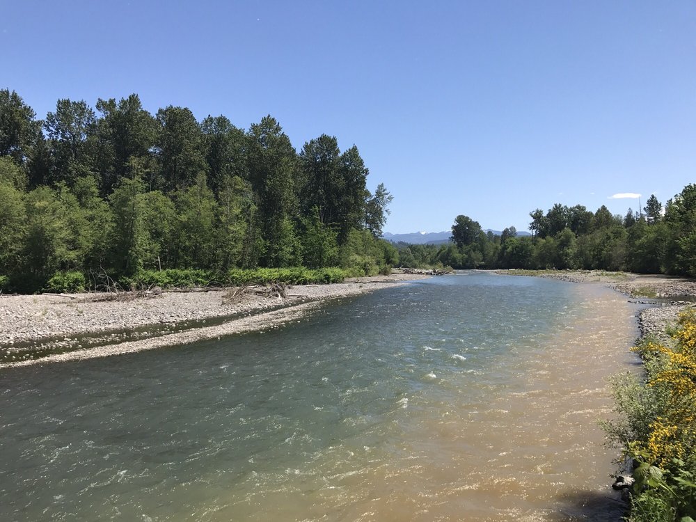 FOOTHILLS TRAIL - 12 Photos - Hiking - Orting Kapowsin Hwy E, Orting, WA