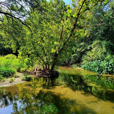 BRUSHY CREEK TRAIL EAST - Updated March 2025 - 32 Photos - 151 N Aw ...