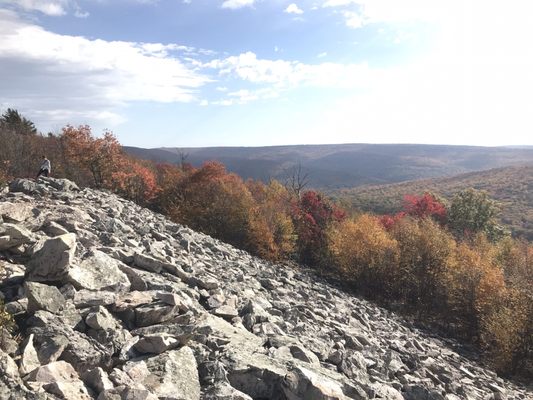 JACKSON TRAIL- ROTHROCK STATE FORREST - Updated April 2025 - 10 Photos ...