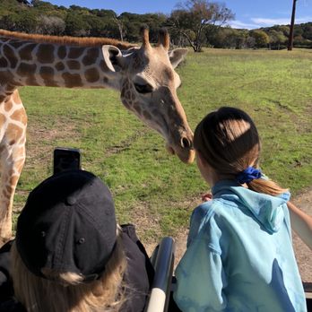 FOSSIL RIM WILDLIFE CENTER - Updated December 2024 - 1278 Photos & 367 ...