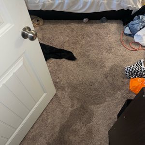 APOLLO TEMPE - Updated October 2025 - 77 Photos & 89 Reviews - 1100 E ...