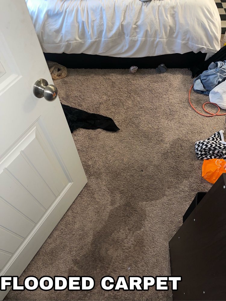 REDPOINT TEMPE - Updated October 2025 - 62 Photos & 90 Reviews - 708 S ...