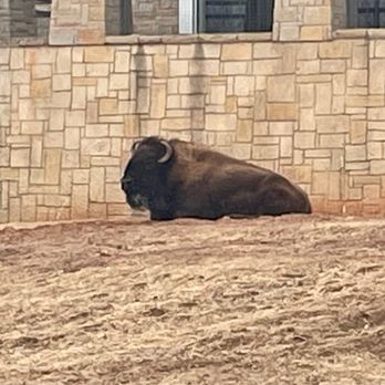 OKLAHOMA CITY ZOO - Updated May 2024 - 1111 Photos & 275 Reviews - 2101 ...
