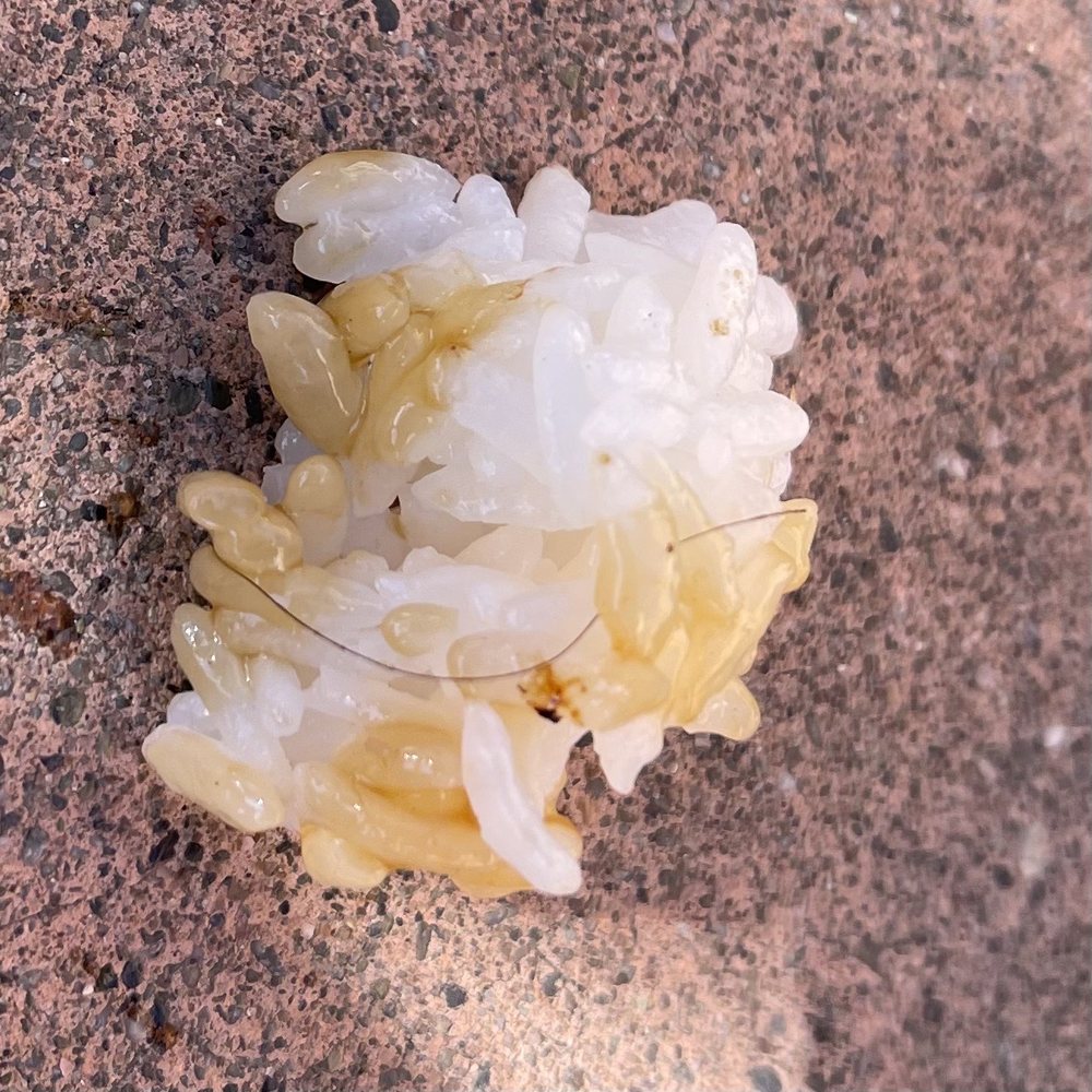 TERIYAKI MAKI - 230 Photos & 272 Reviews - 2711 Del Paso Rd, Sacramento ...