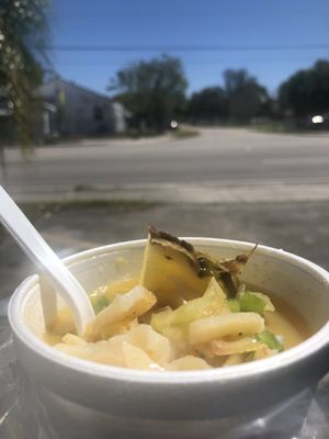 TROPICAL CONCH - Updated November 2025 - 15 Photos & 16 Reviews - 4500 ...