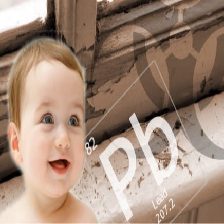 PBO3 ENVIRONMENTAL TESTING & SERVICE - 473 N Pine Meadow Dr, Debary ...