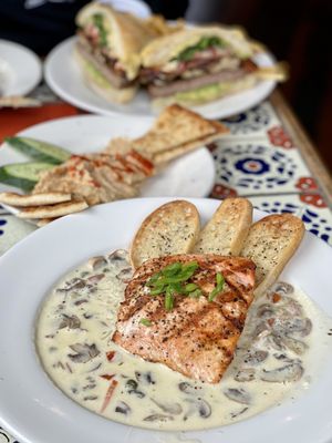 XETAVA - Updated December 2025 - 392 Photos & 414 Reviews - 815 Coyote ...