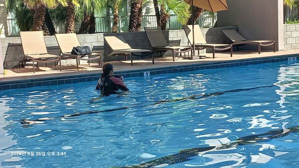 SUNSATIONAL SWIM SCHOOL - Updated October 2025 - 27 Photos & 105 ...