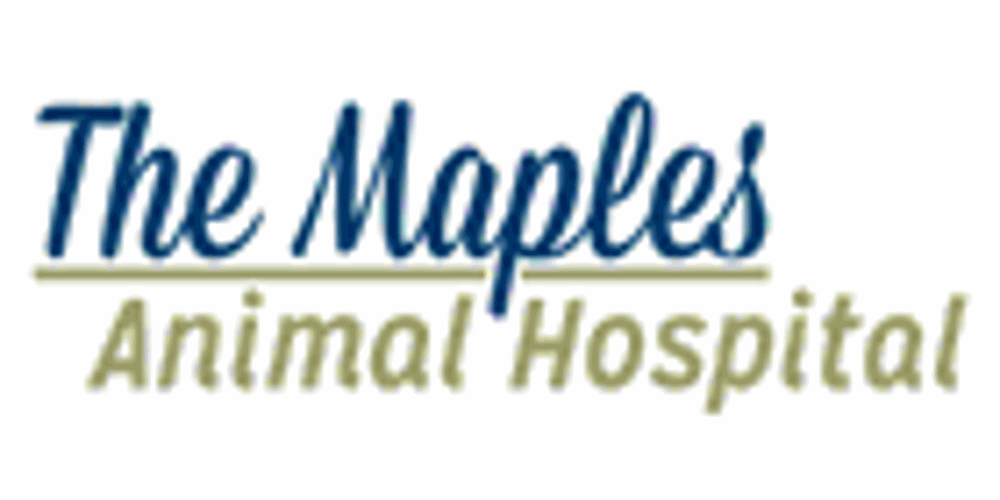 THE MAPLES ANIMAL HOSPITAL - Updated June 2026 - 850 Legion Road ...