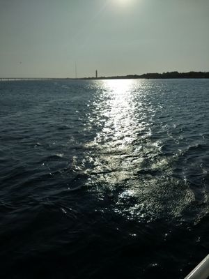 CAPTREE PRIDE - 20 Photos & 24 Reviews - 3500 Ocean Pkwy E, Bay Shore ...